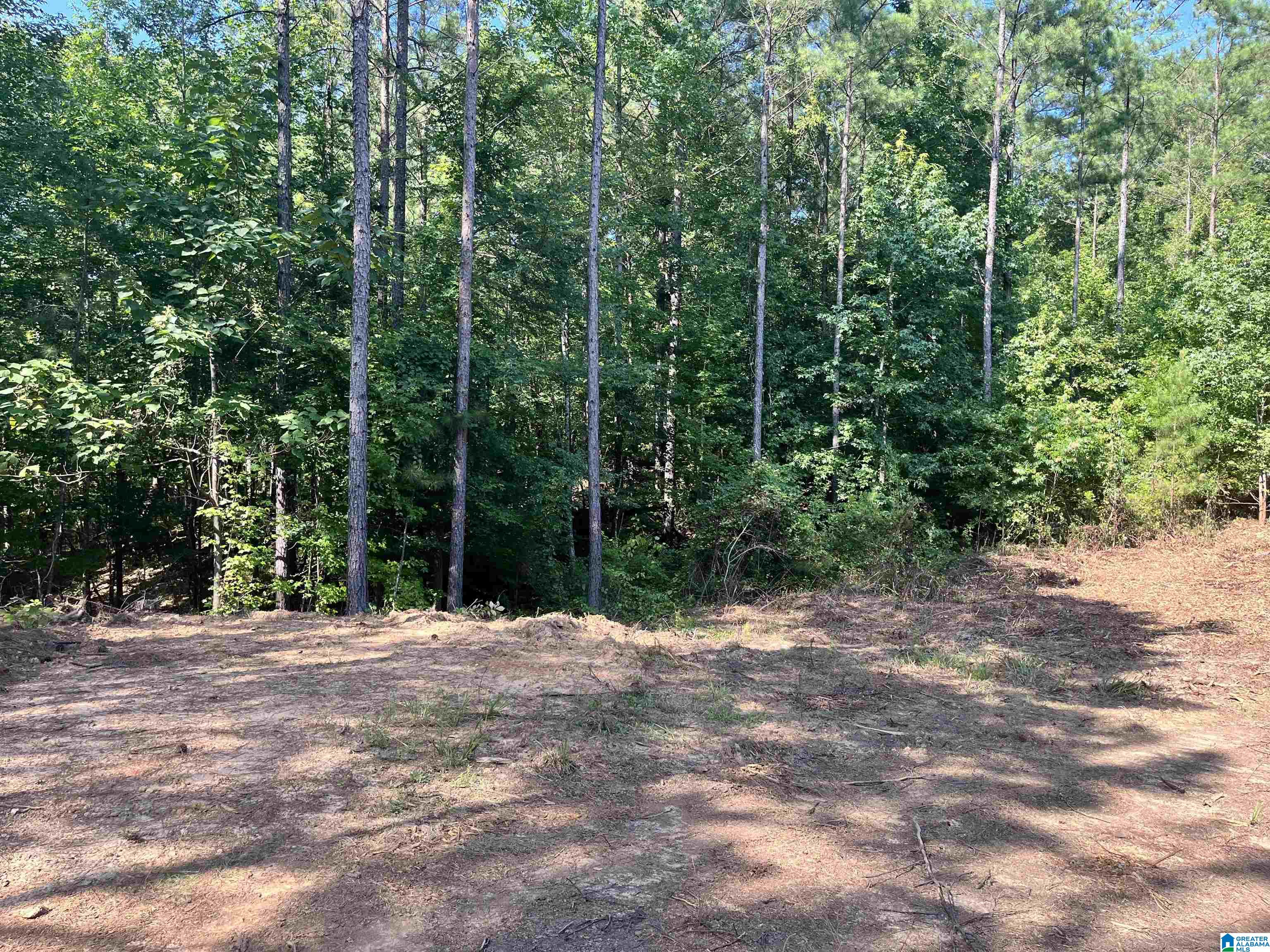 780 Sweet Apple Road, Pell City, AL 35128 | MLS 1361006 | Listing ...