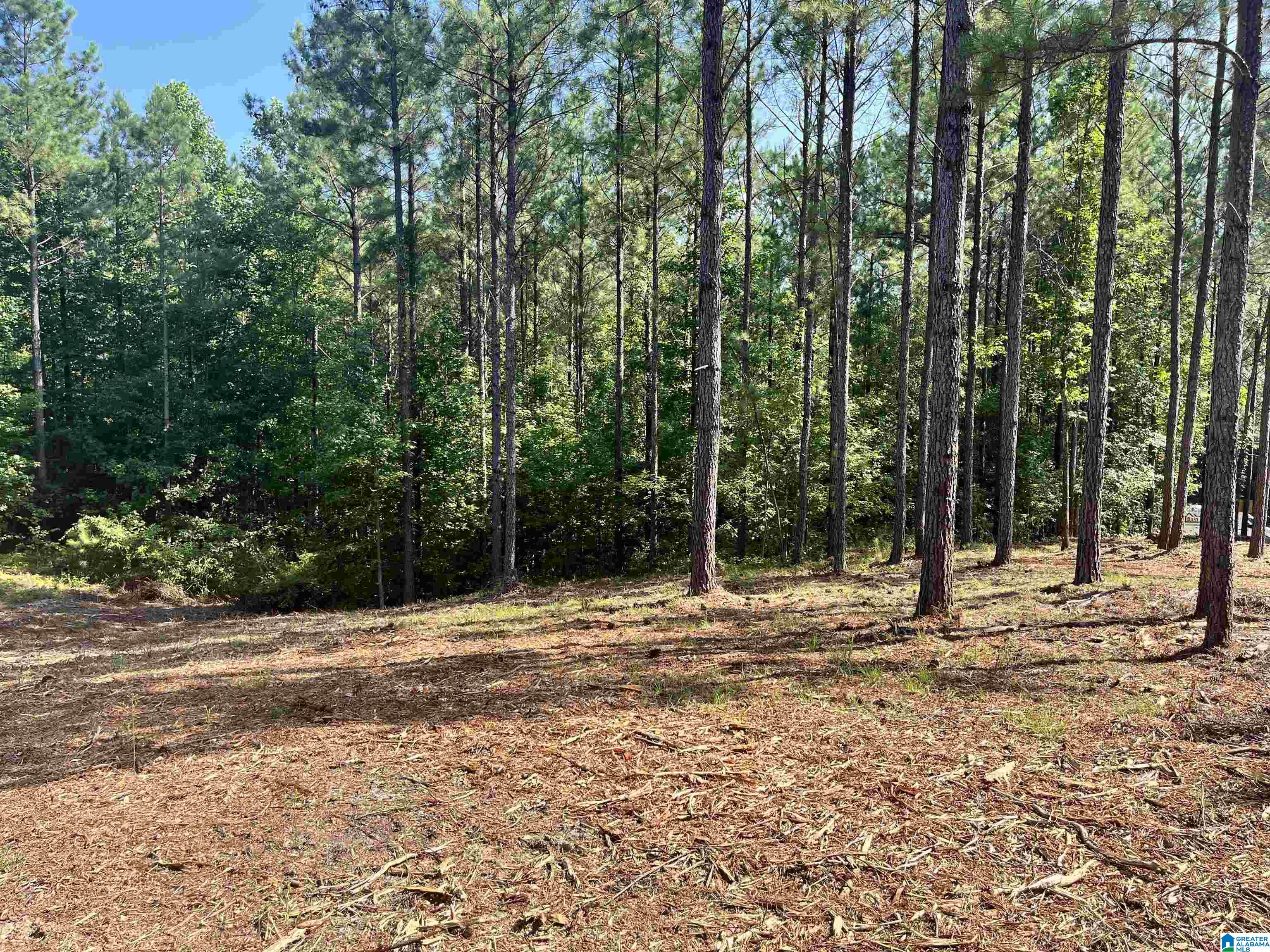 780 Sweet Apple Road, Pell City, AL 35128 | MLS 1361006 | Listing ...