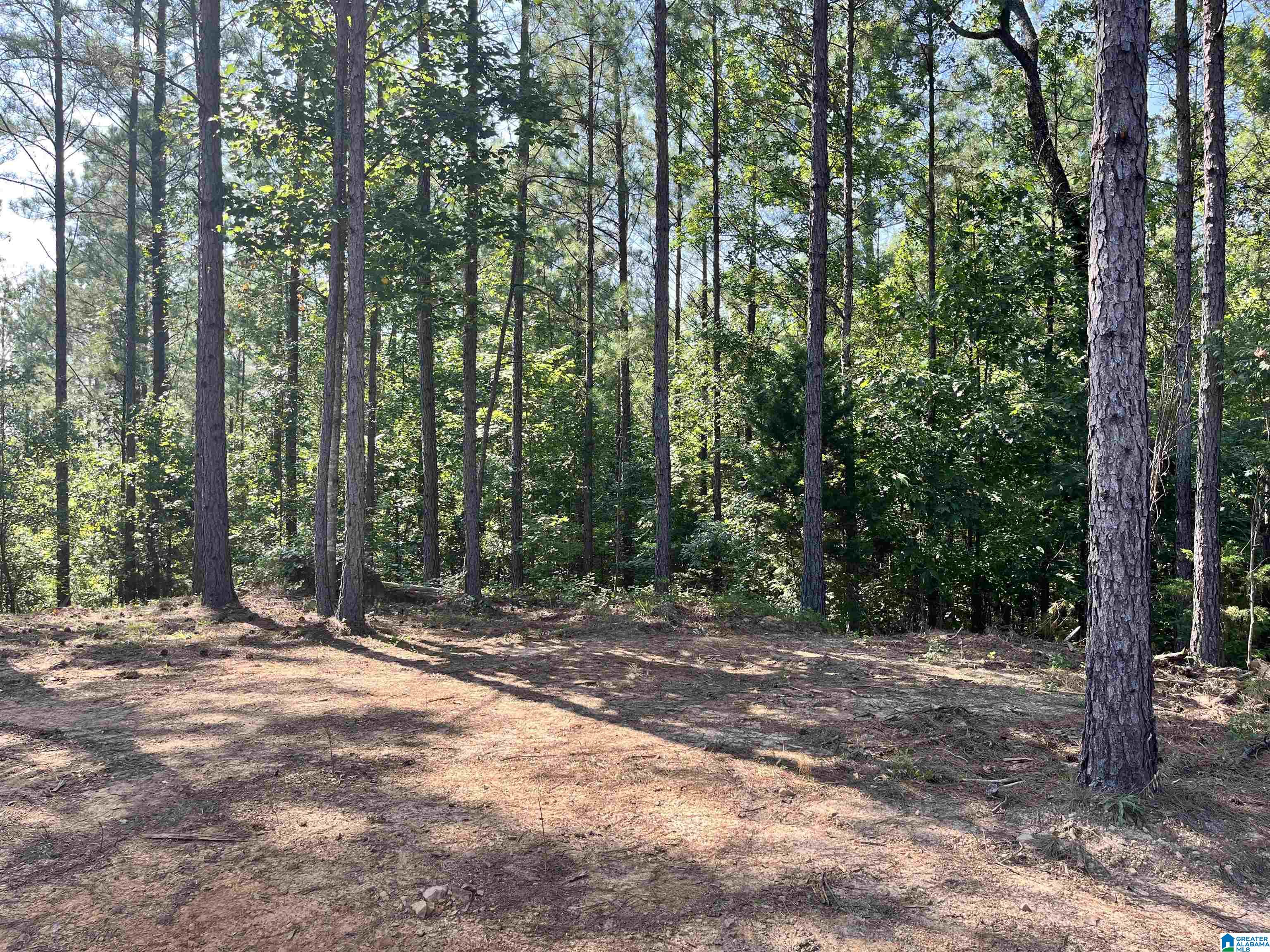 780 Sweet Apple Road, Pell City, AL 35128 | MLS 1361006 | Listing ...