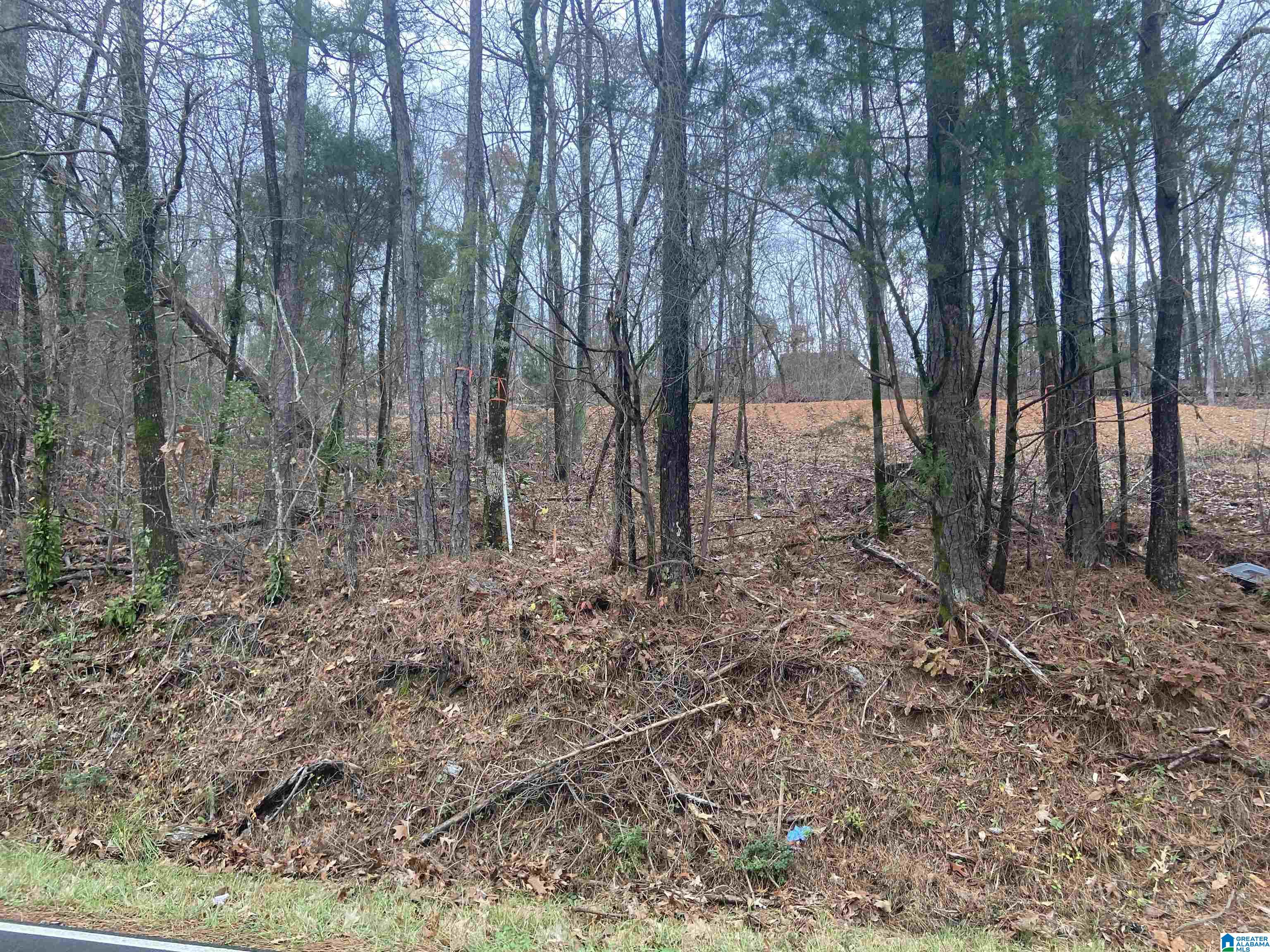 2348 Carl Jones Road, Moody, AL 35004 | MLS 1341383 | Listing ...