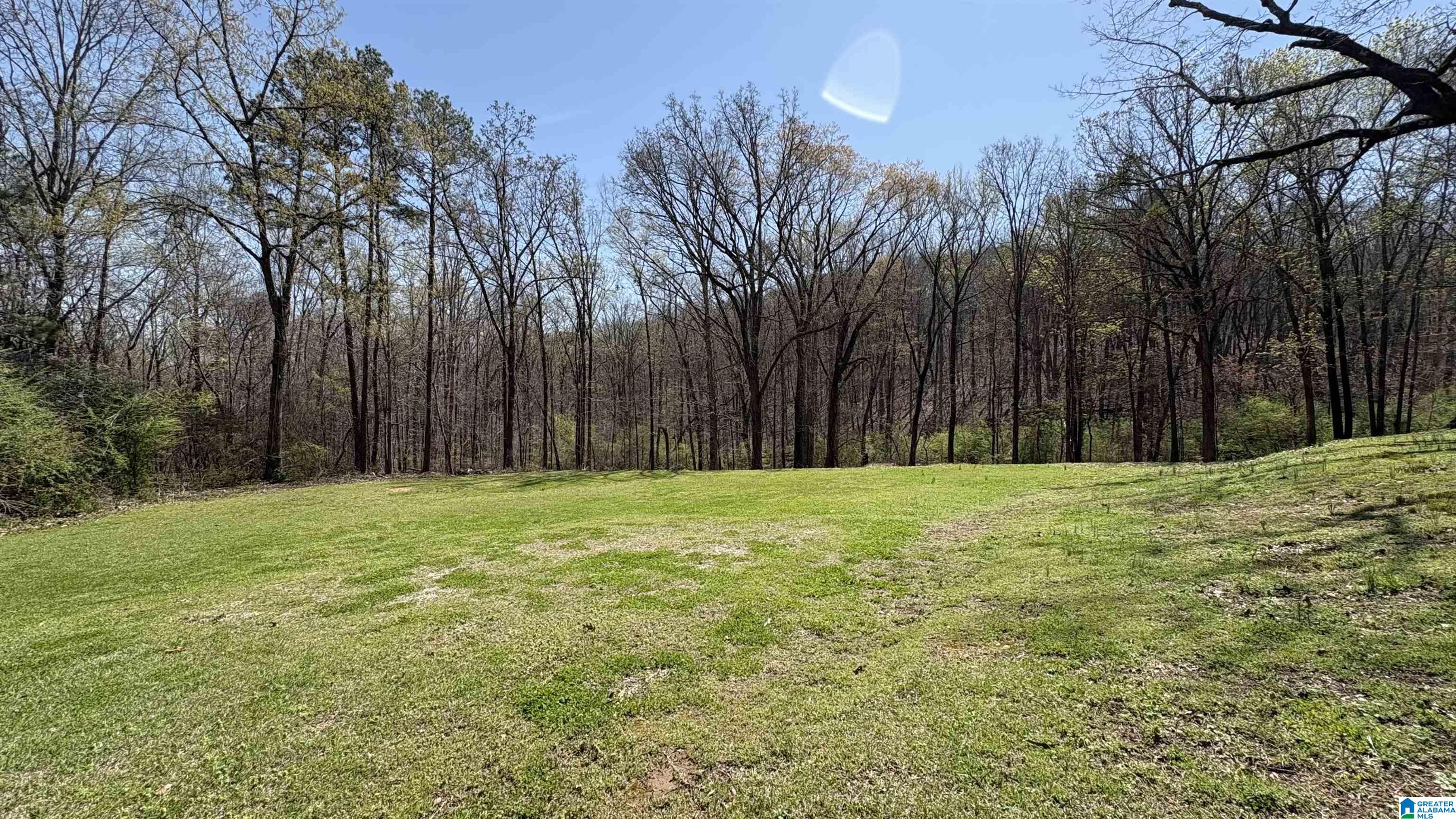 90 Fulton Gap Road, Sylacauga, AL 35150 | MLS 21446572 | Listing ...