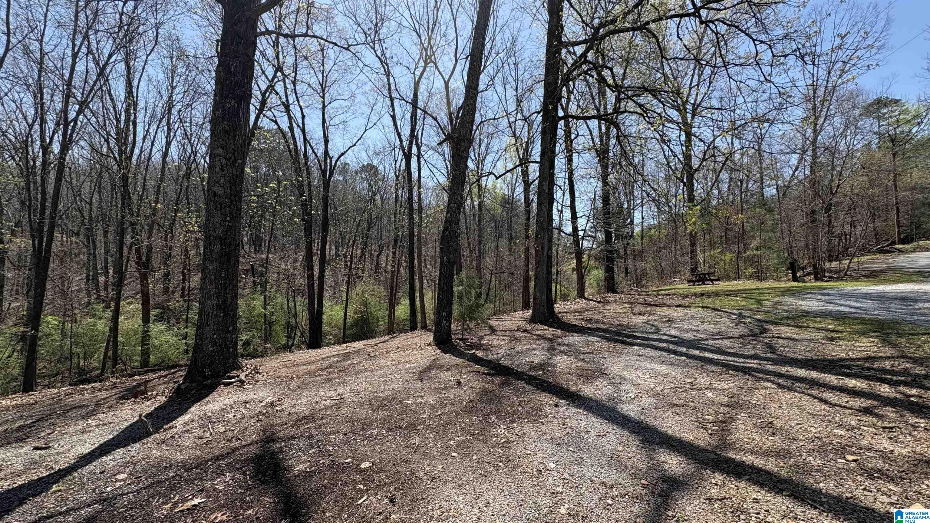 90 Fulton Gap Road, Sylacauga, AL 35150 | MLS 21446572 | Listing ...