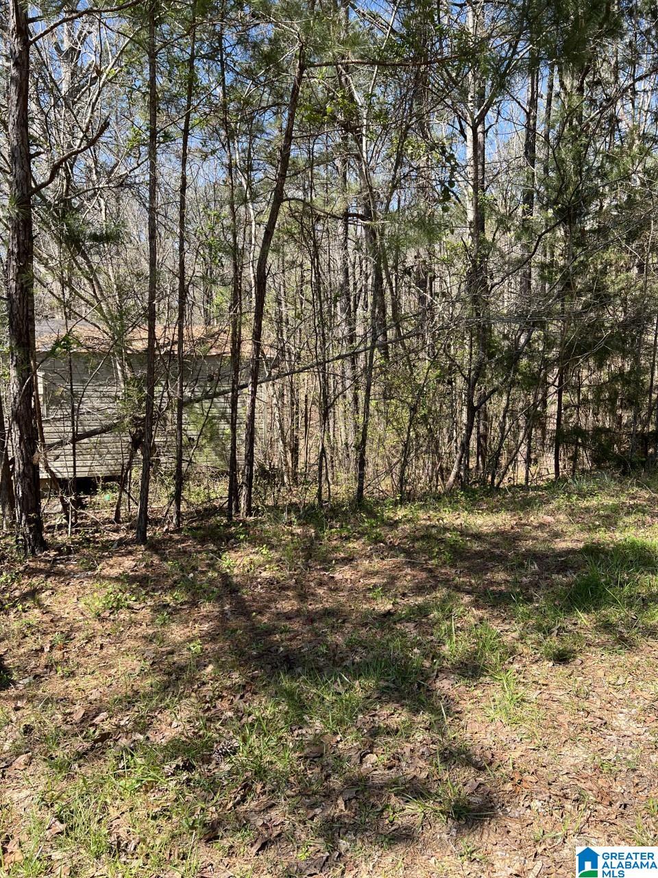 County Road 551, Verbena, AL 36091 | MLS 1348734 | Listing Information ...