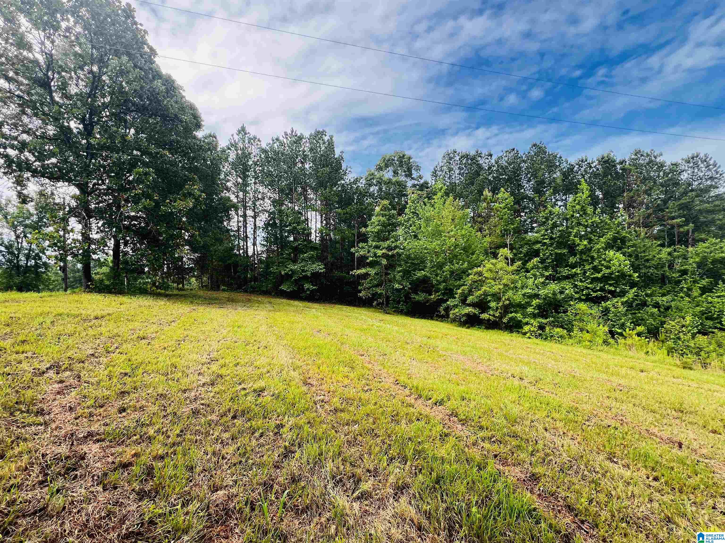 1315 Thompson Road, Ohatchee, AL 36271 | MLS 21421871 | Listing ...