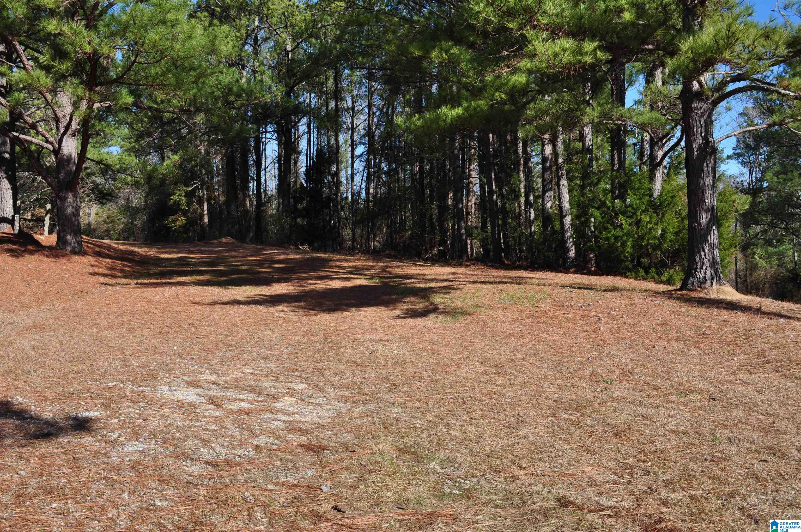 5445 Highway 36, Randolph, AL 36792 | MLS 1344193 | Listing Information ...