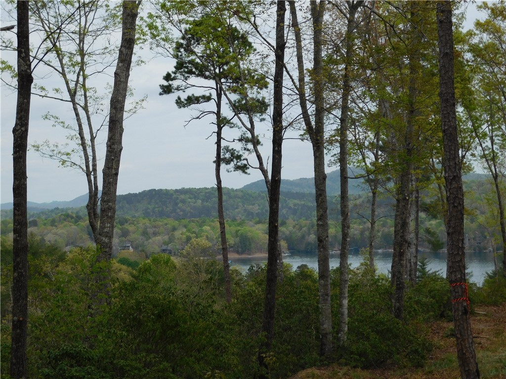 LOT 2 Old Chapman Bridge Road For Sale, Salem, SC 29676 Land | ByOwner