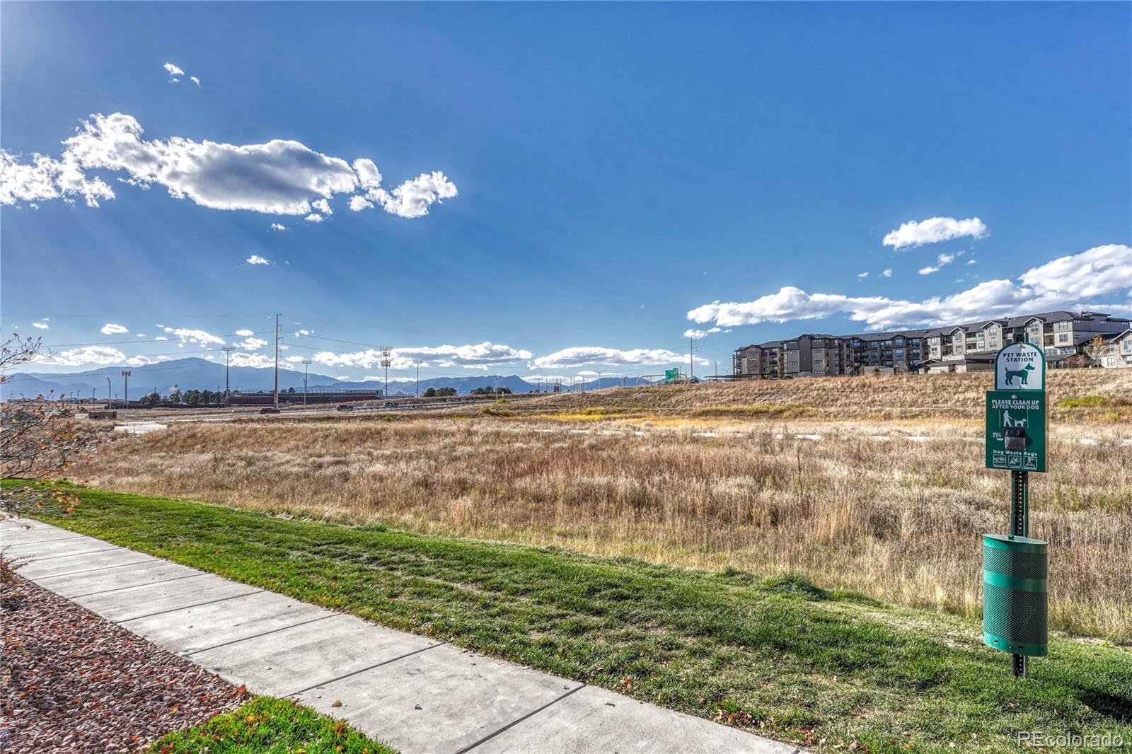 Platinum Group Colorado Springs