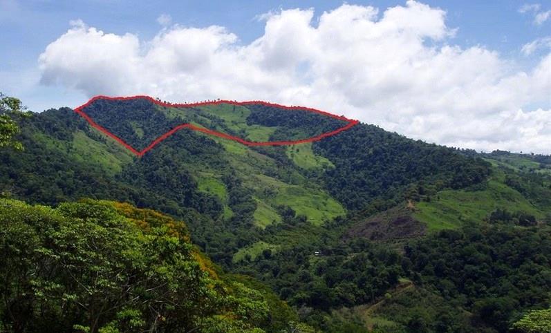 1 Villa Bonita, Other TX Real Estate Listing | exitrealty.com®