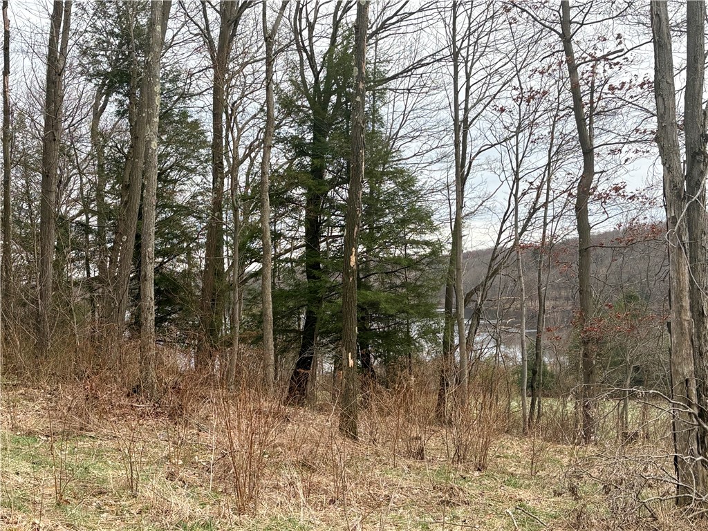 Lot 3 Cranberry Rd, Lower Turkeyfoot Twp, PA 15424 - MLS 1695041 ...