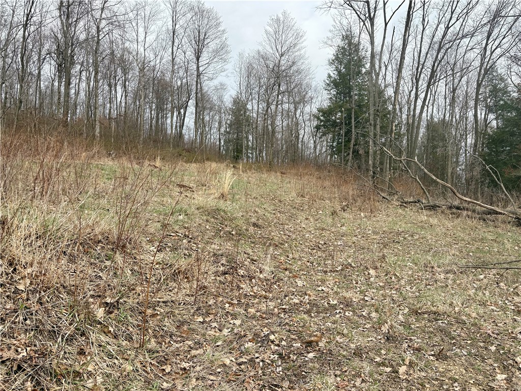 Lot 3 Cranberry Rd, Lower Turkeyfoot Twp, PA 15424 - MLS 1695041 ...