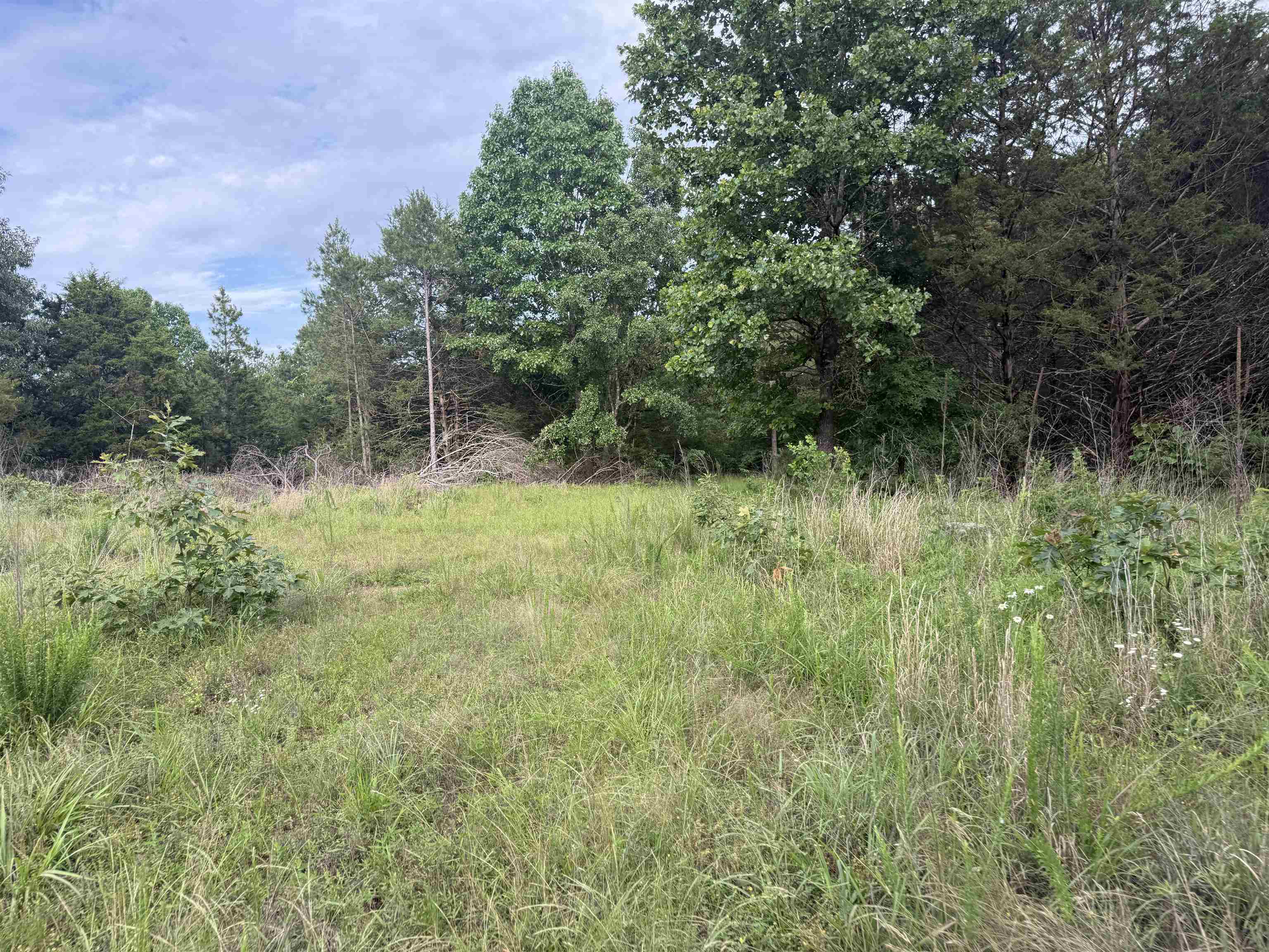 32 KERLEY POINT CV, ELIZABETH, AR 72531 | REMAX