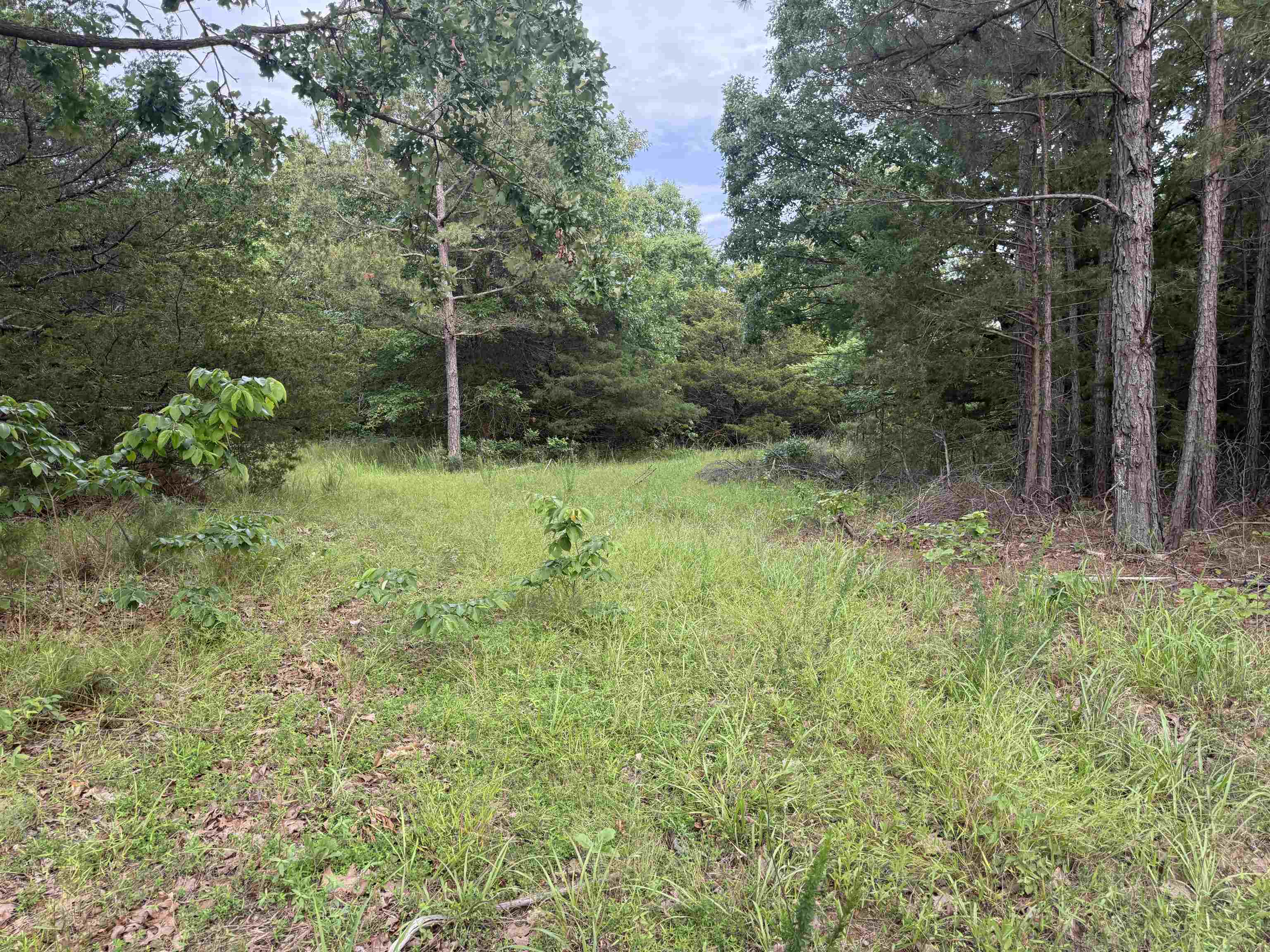 32 KERLEY POINT CV, ELIZABETH, AR 72531 | REMAX