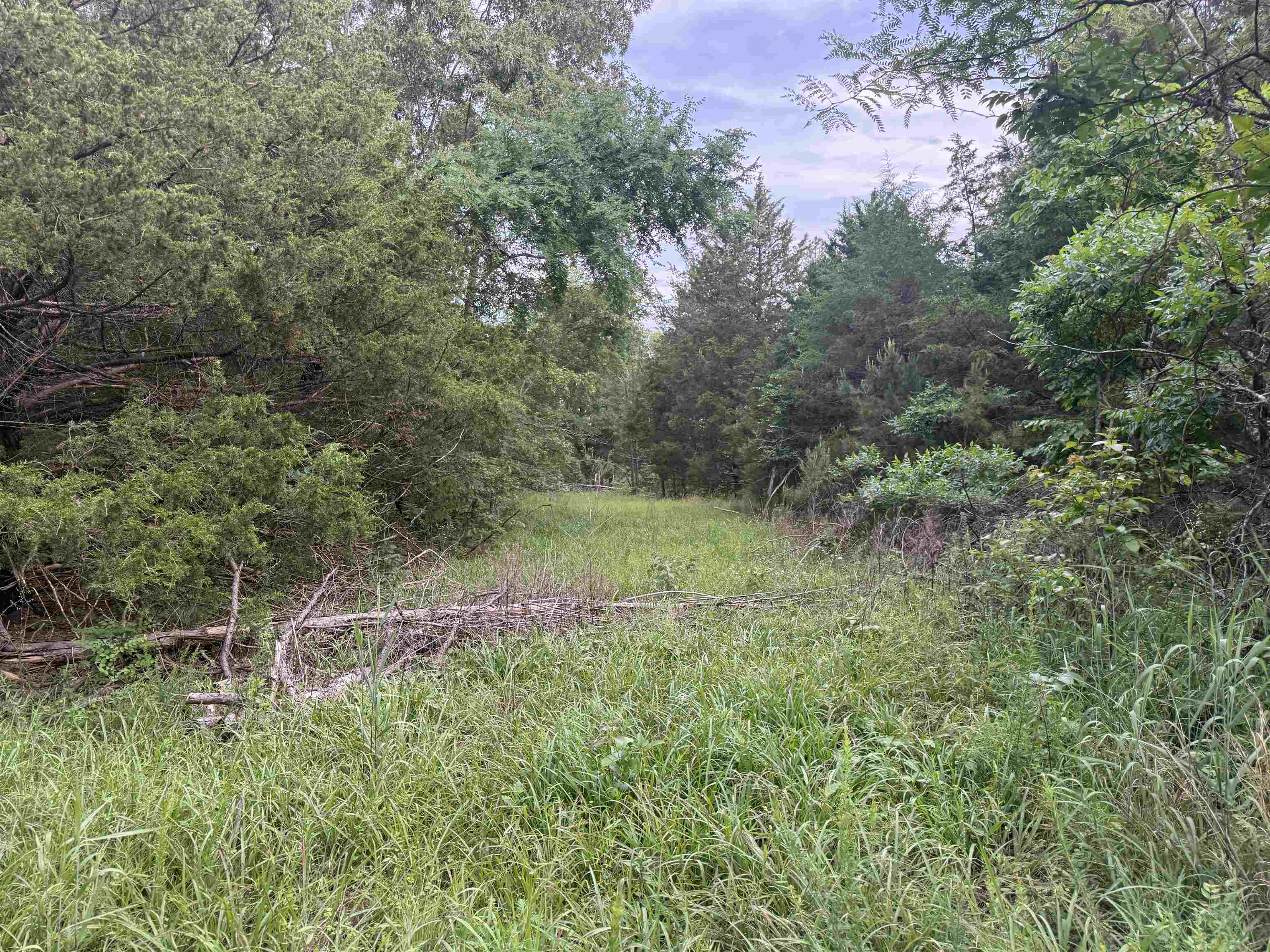 32 KERLEY POINT CV, ELIZABETH, AR 72531 | REMAX
