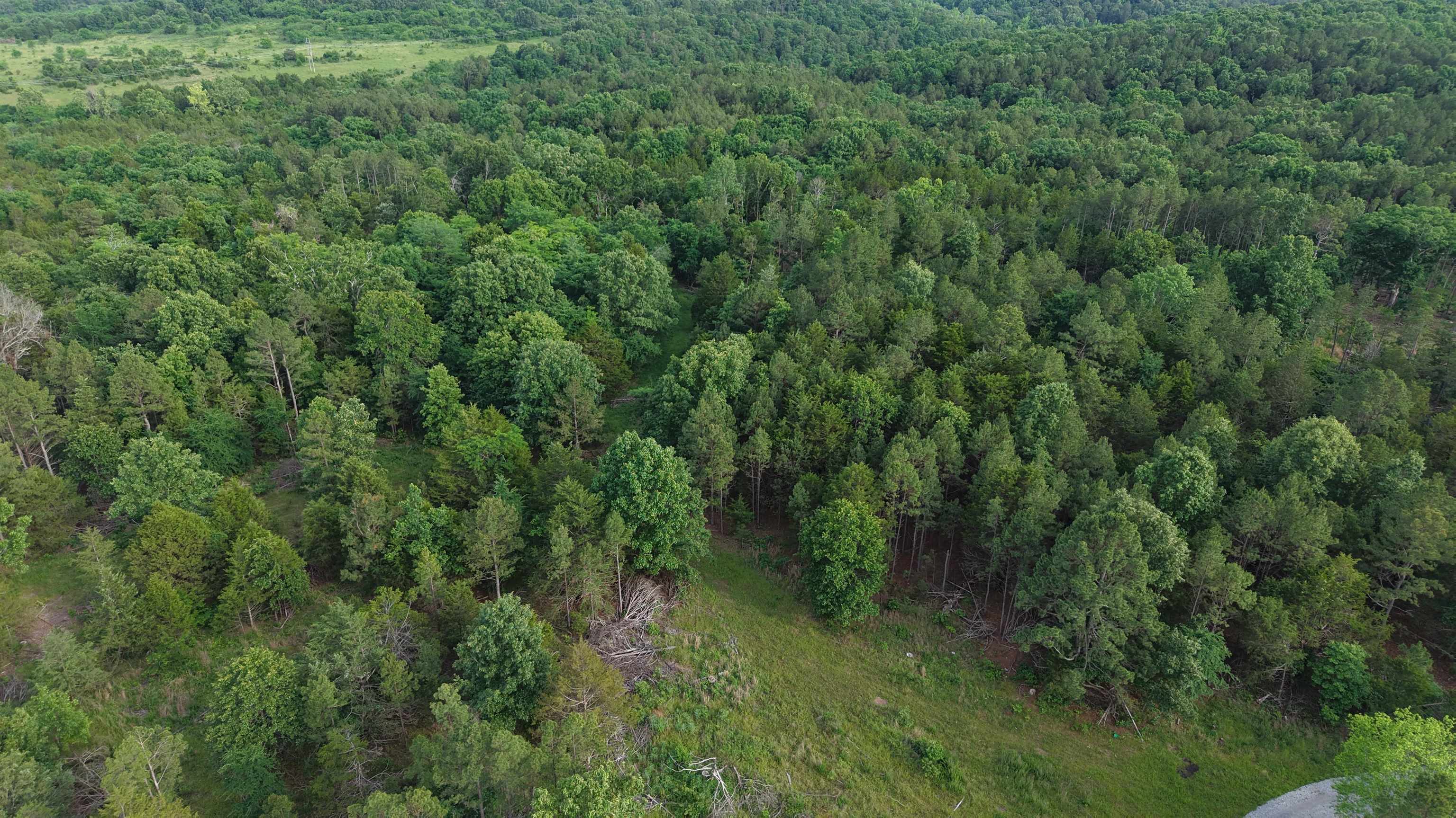 32 KERLEY POINT CV, ELIZABETH, AR 72531 | REMAX