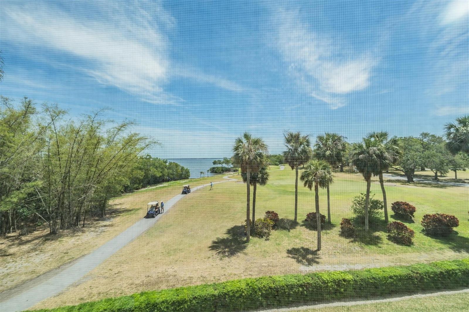 2616 COVE CAY DRIVE 301, CLEARWATER, FL, 33760 - Cove Cay Condos