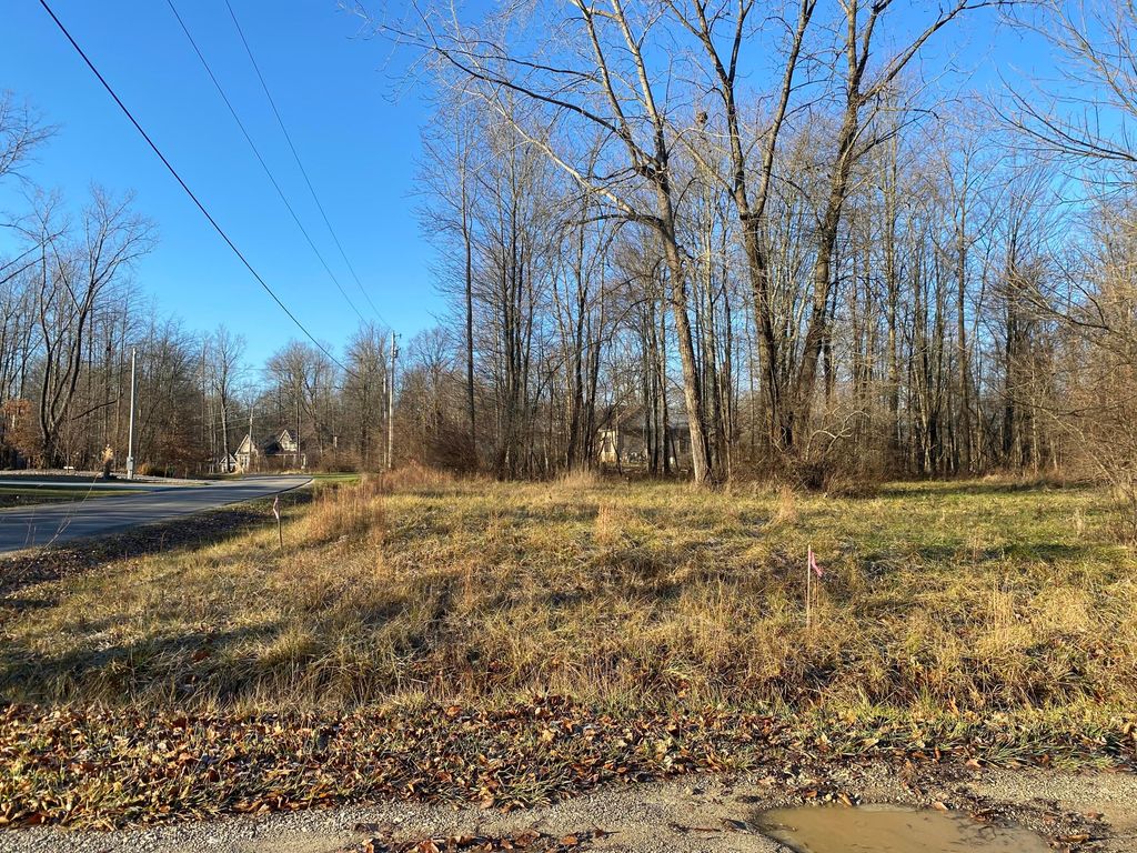 7326 State Route 19 U 10 L 266, MT Gilead, OH 43338, MLS #223039844 ...