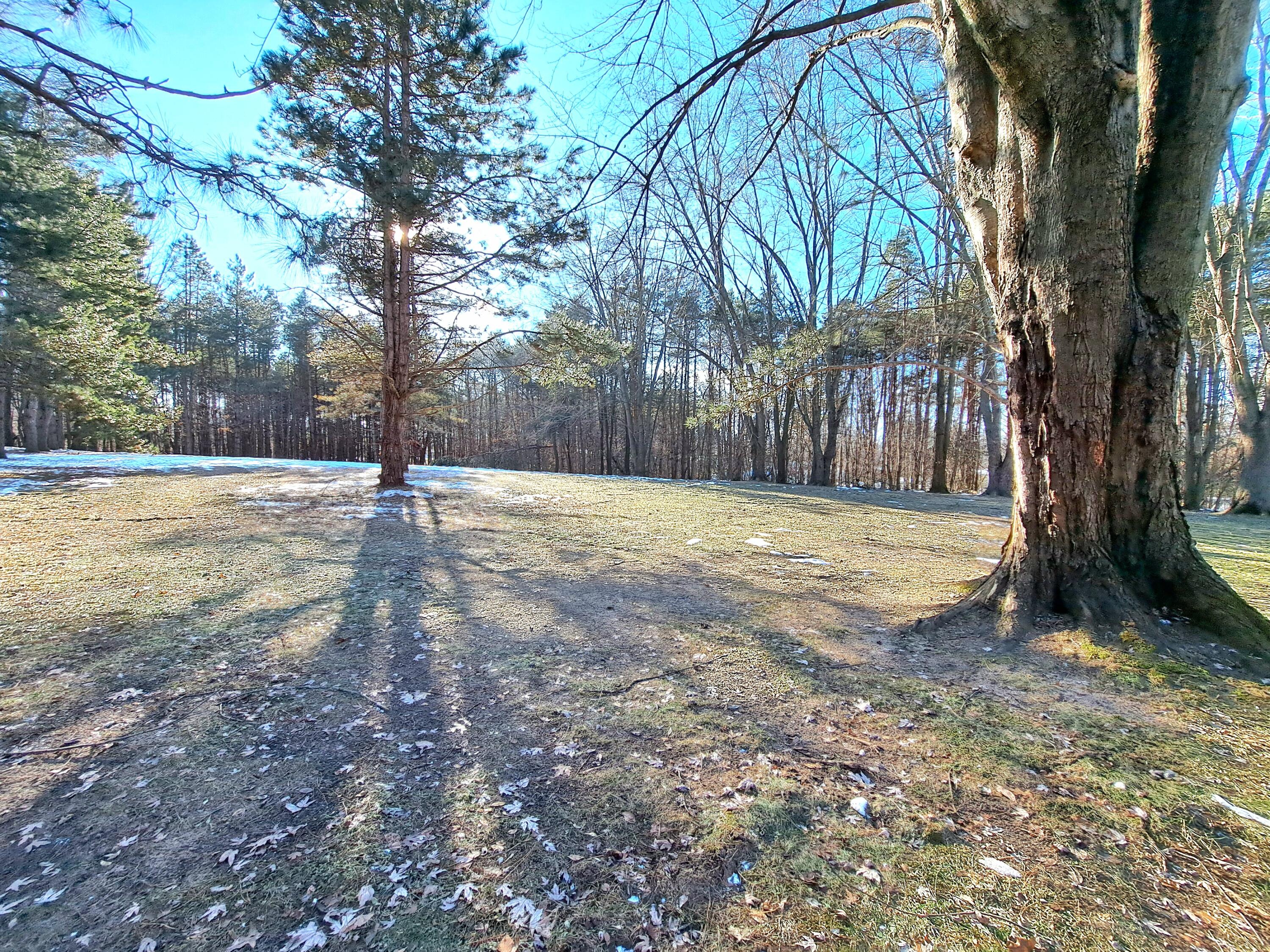 806 E 4th Street, Lawton, MI 49065 | MLS 26000686 | Listing Information ...