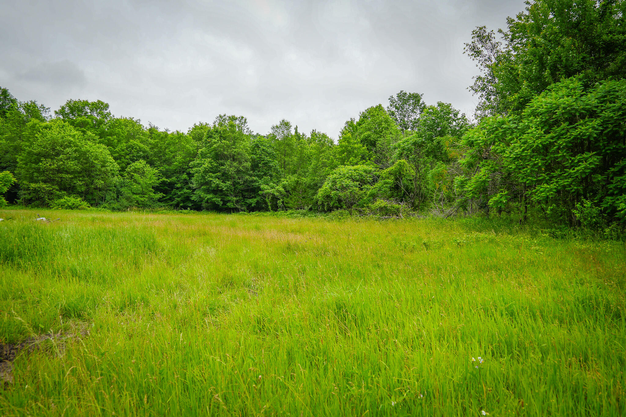 Paris, MI Homes For Sale & Real Estate | REMAX