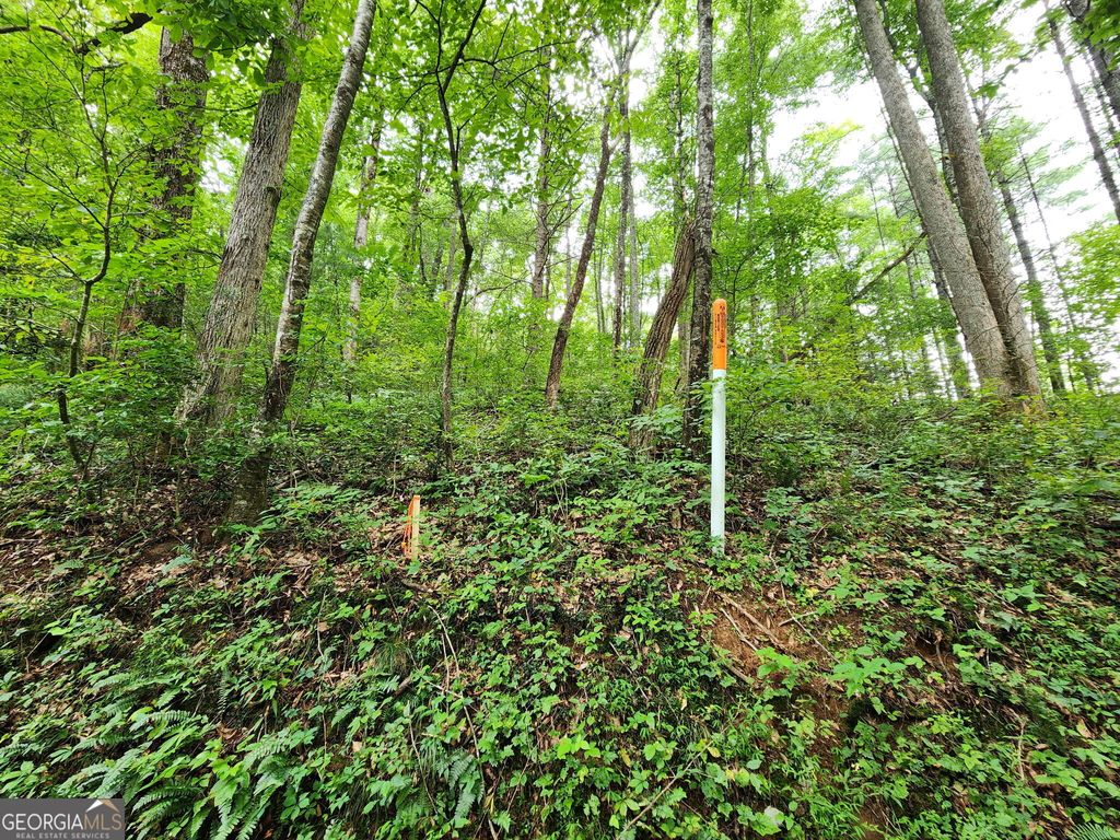 TRACT 2B Poplar Cove Trail, Suches, GA 30572 | MLS 10657488 | Listing ...