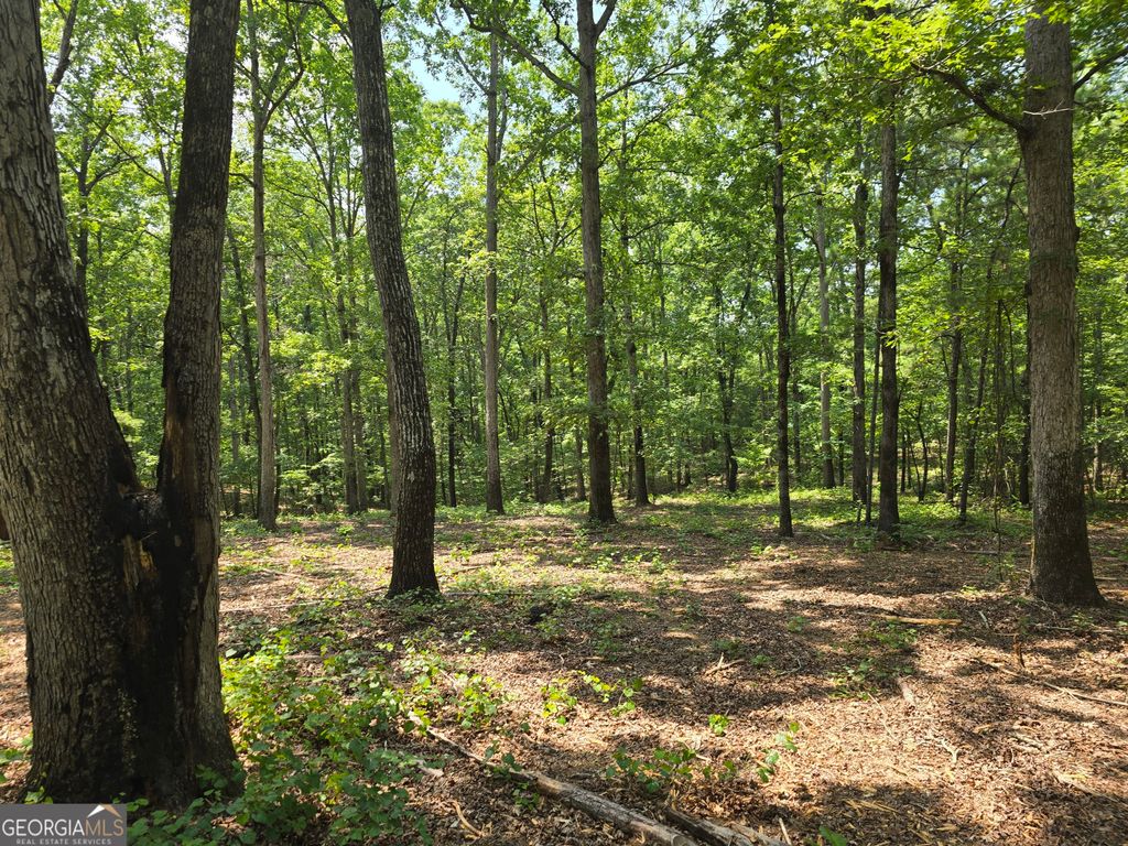 0 Faulkner Road #LOT 2, Monticello, GA 31064 (MLS # 10411824 ...