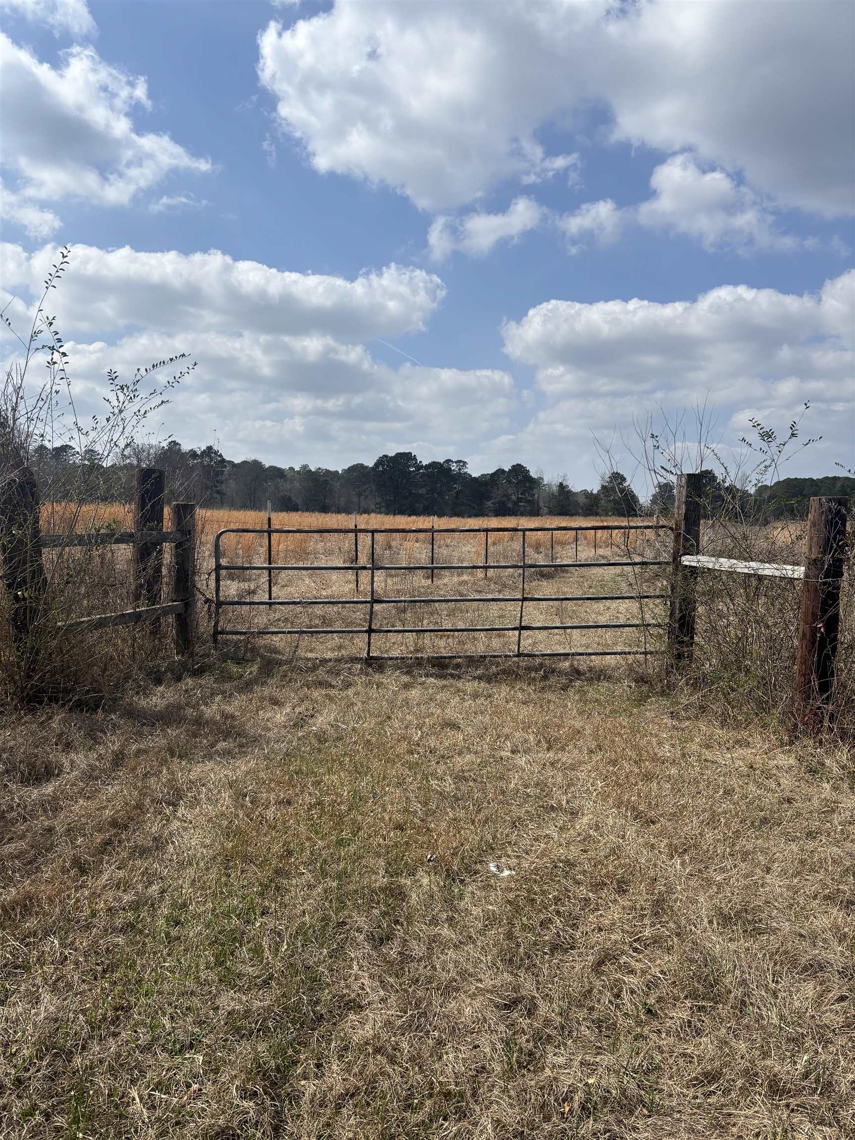 753 Old Fm 134 And Substation Rd For Sale, Karnack, TX 75661 Land ...